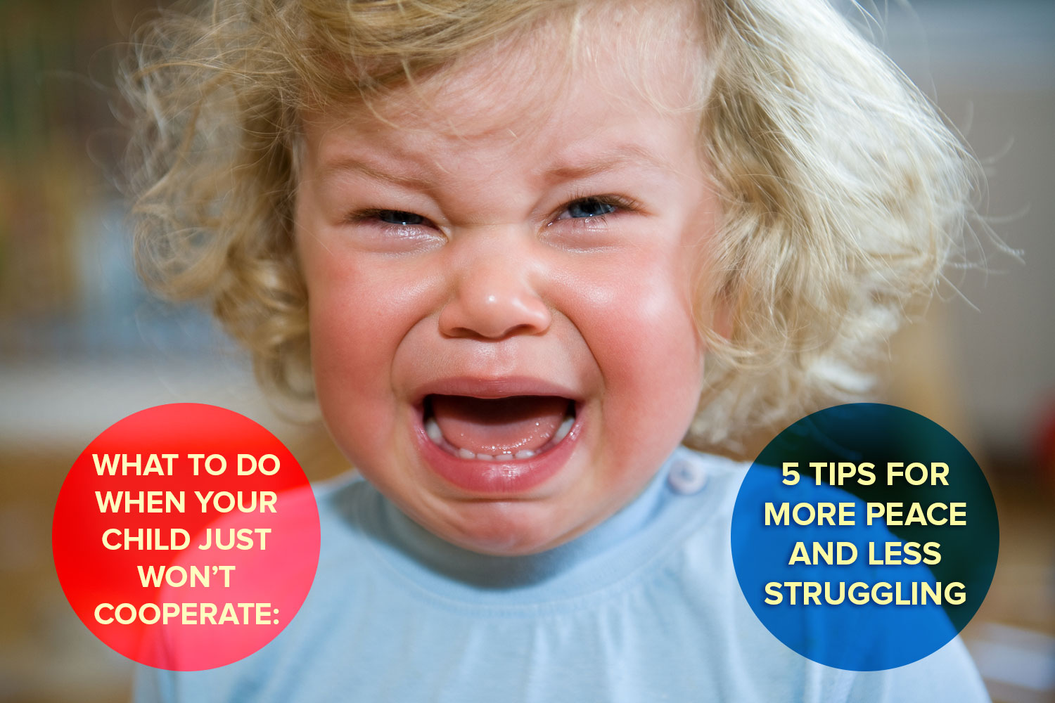 What to do when your child just won’t cooperate: 5 tips for more peace ...